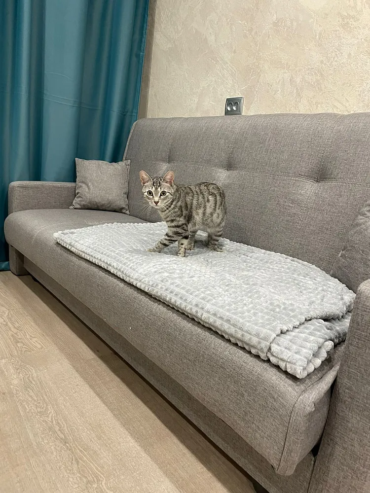 Диван книжка Прайм коричневый арт. 08-137707 125х187 см купить по цене ...